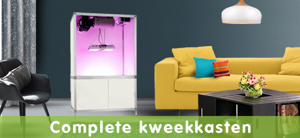 Kweekkast nodig? Complete Bonanza en Wing kweekkasten.
